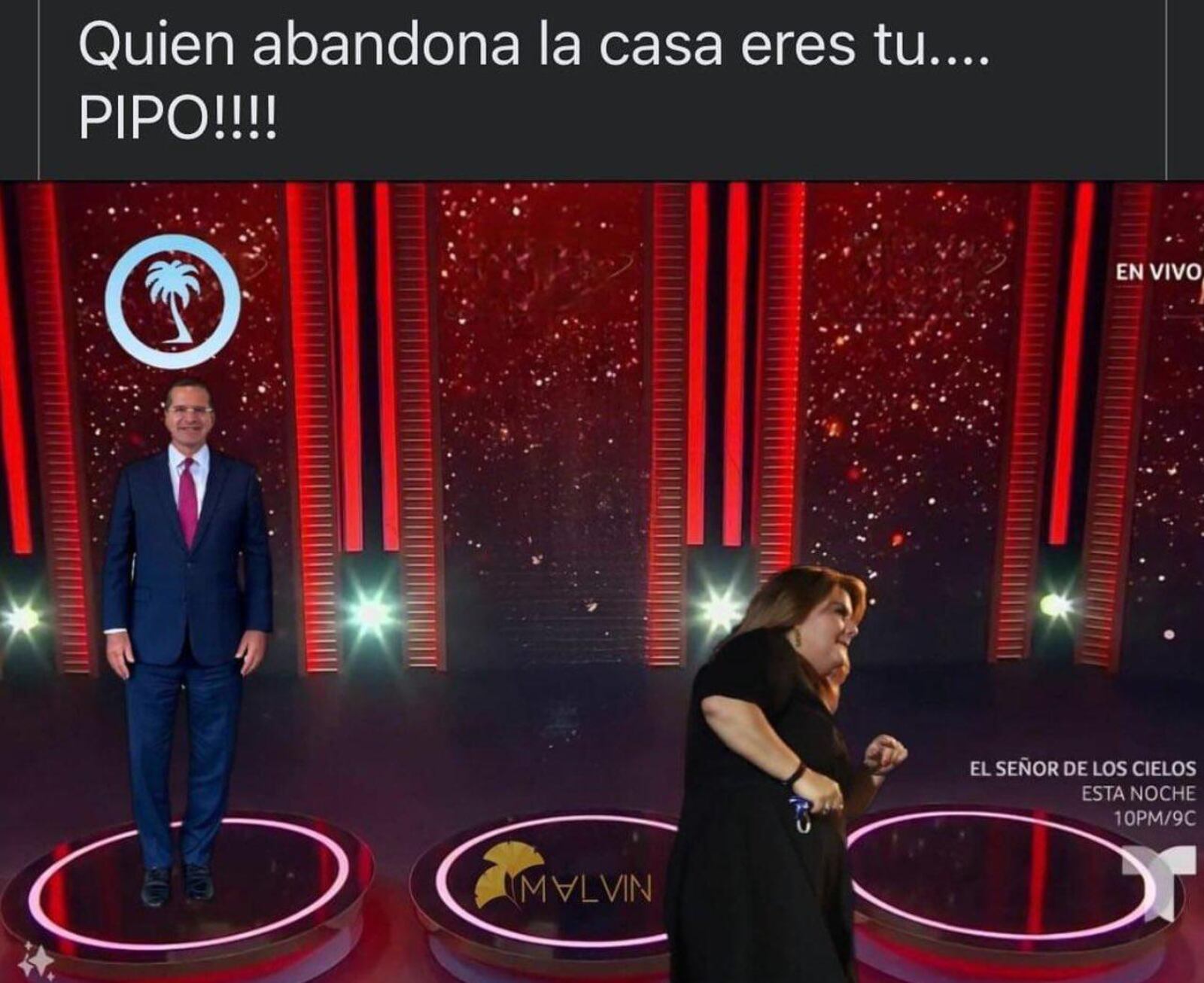 Los mejores memes de las primarias PPD y PNP – El Calce