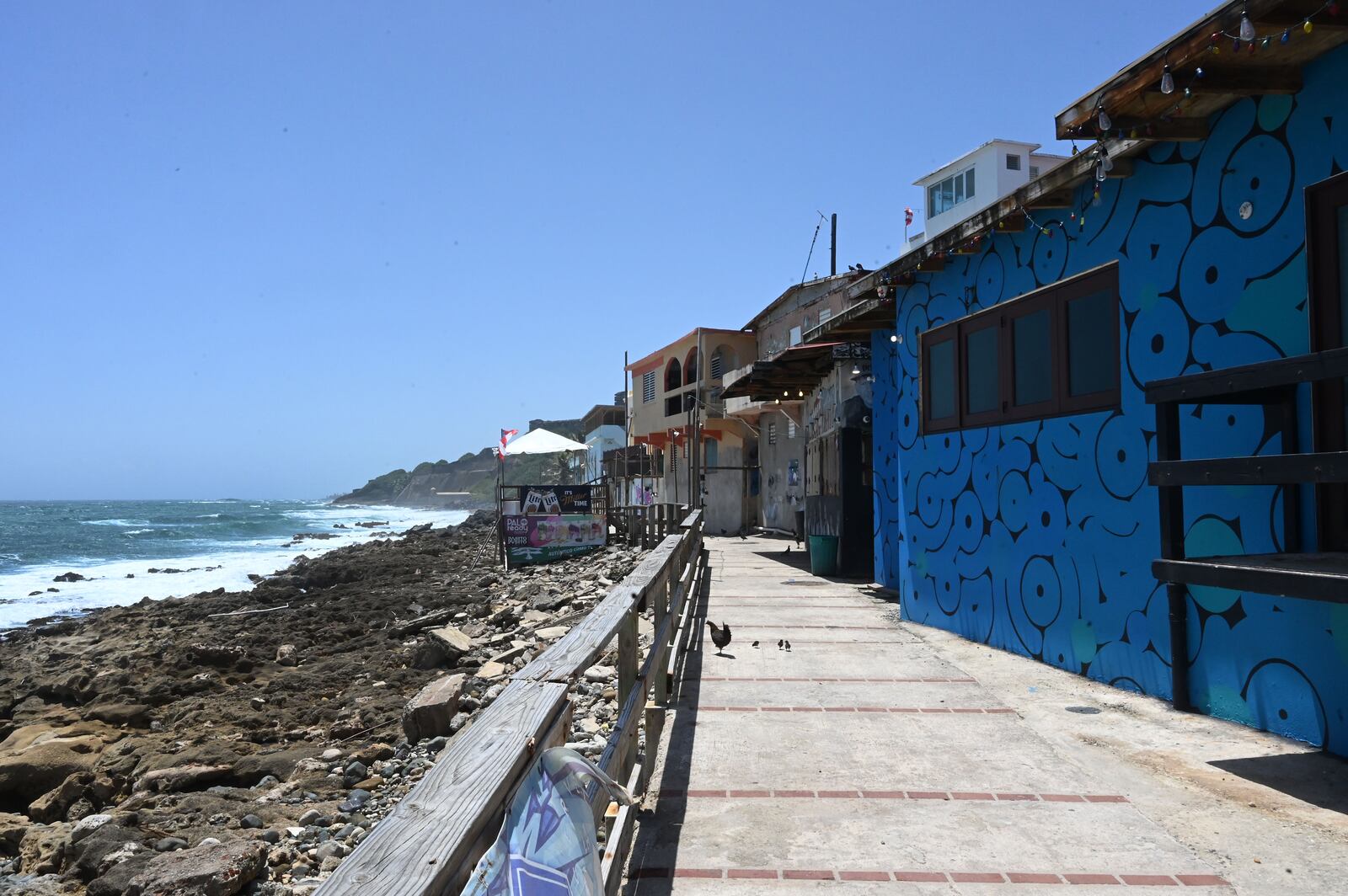 La Perla se llena de color con el inicio de la residencia de Bad Bunny ...